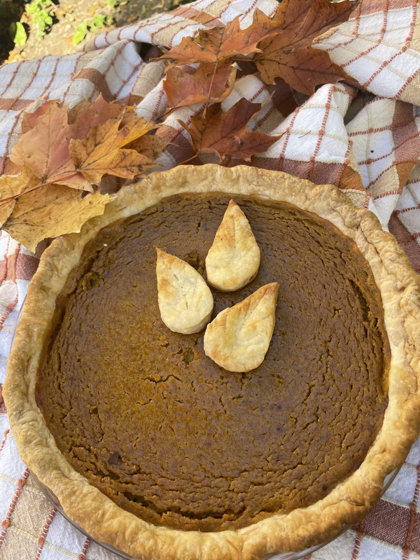 The Pumpkin Pie Project - The Nature Place