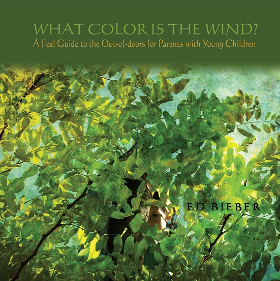 What Color is the Wind? - The Nature Place