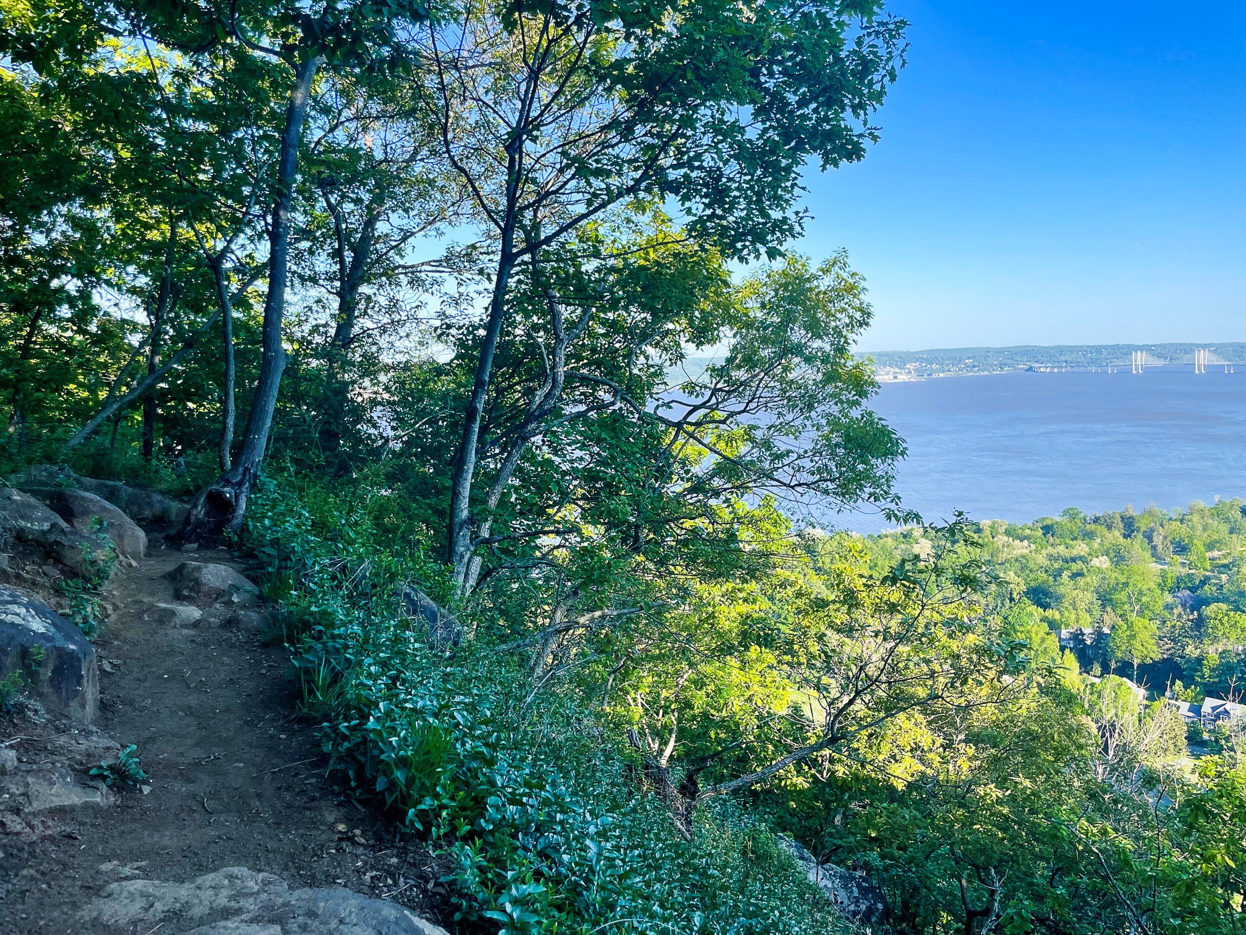 The Spring Trail Effect - The Nature Place